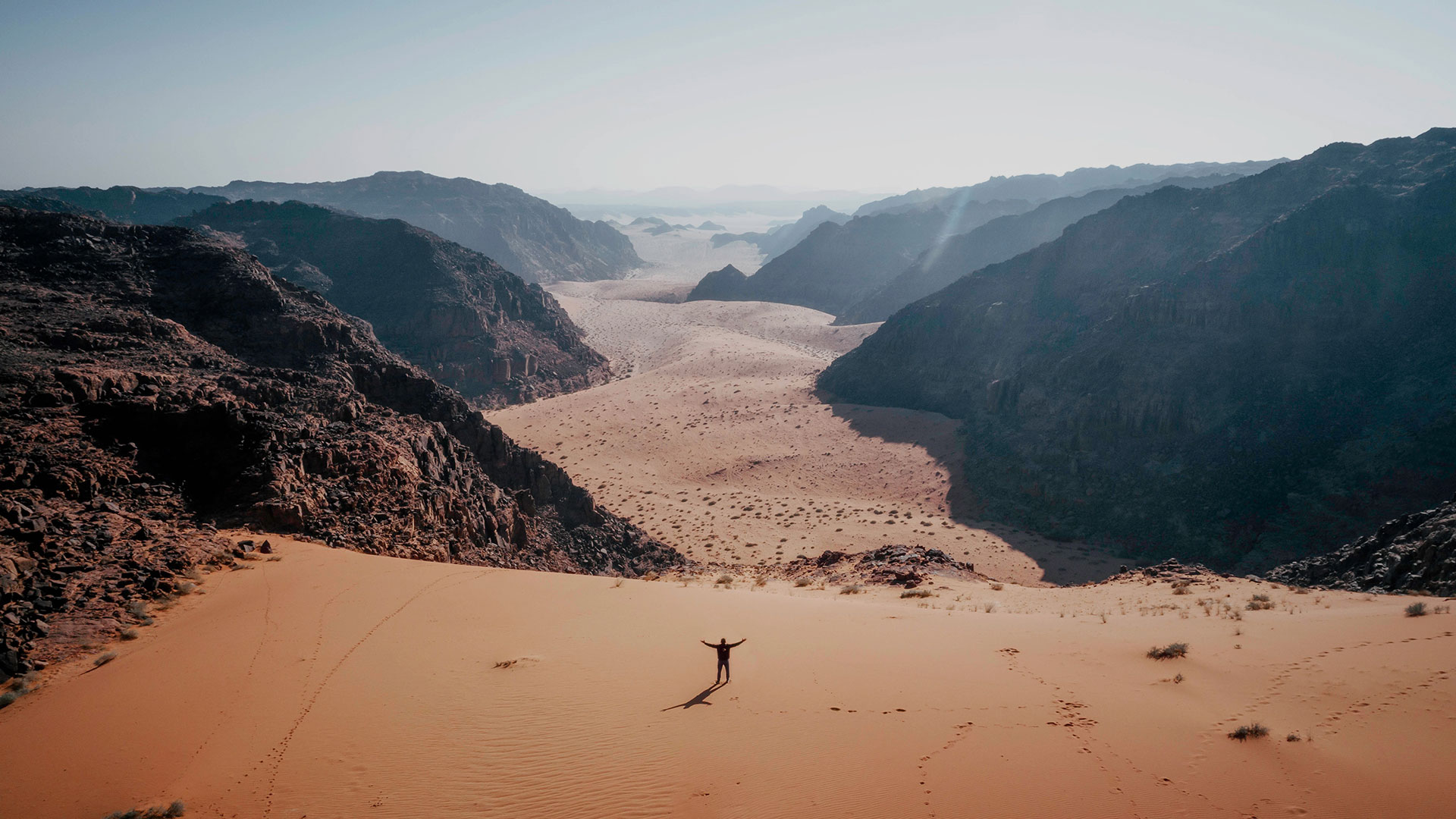 The future of nature