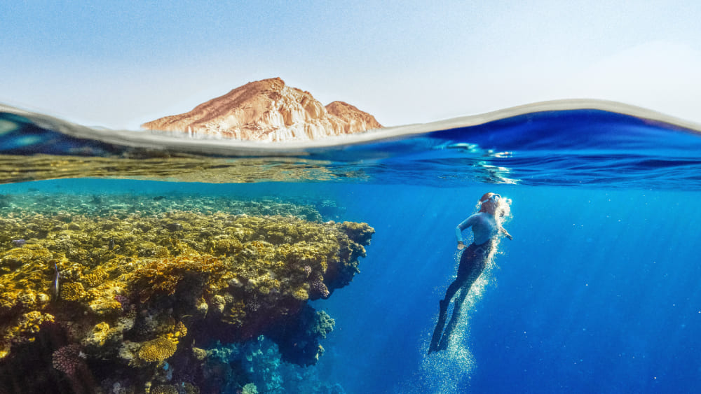 The future of tourism