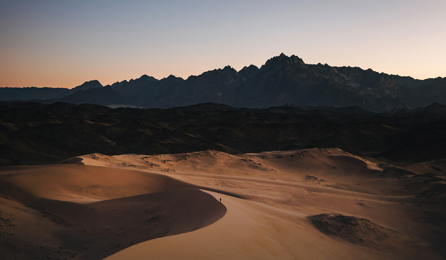 The future of tourism