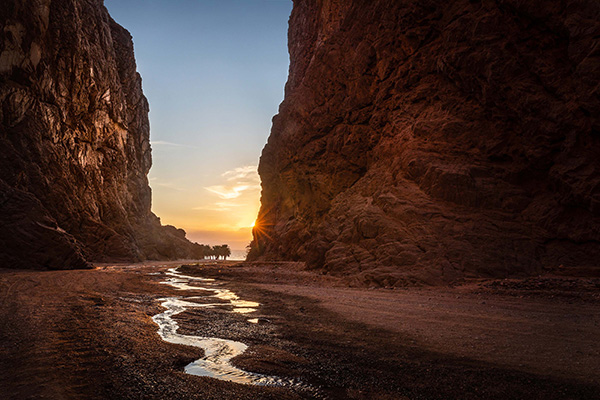 NEOM Announces Leyja, Its Latest Sustainable Tourism Destination