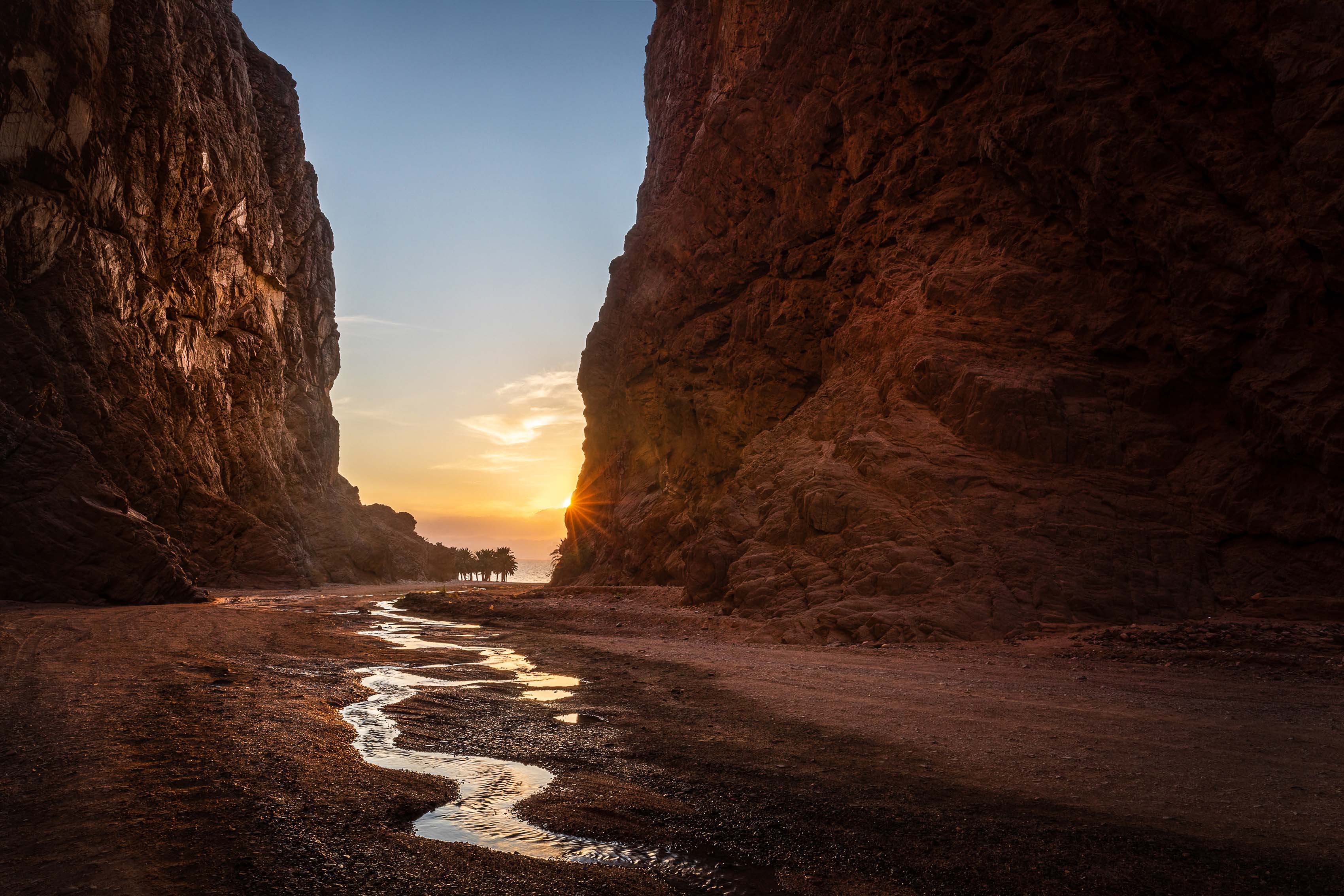 NEOM: News - learn the latest news about NEOM